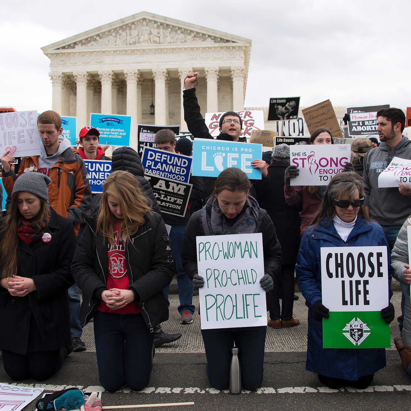 To be Pro-life in an Age of Extinction — The Revealer